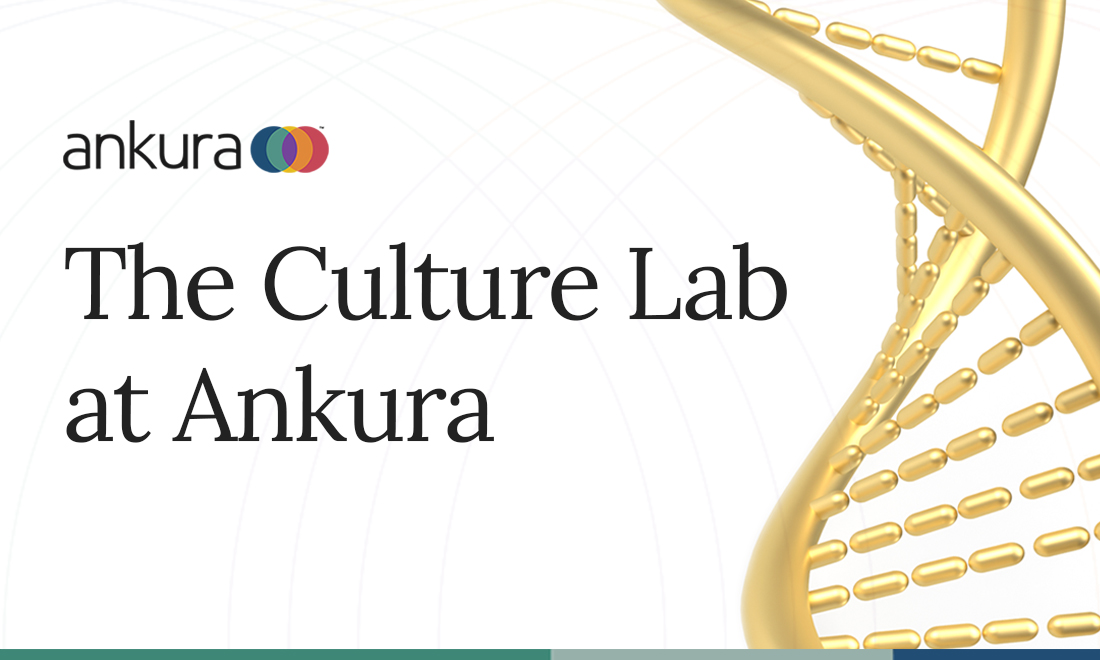 Ankura Consulting | UKG Marketplace