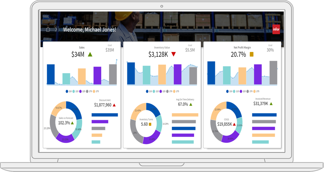 Infor Birst Enterprise | Infor Marketplace