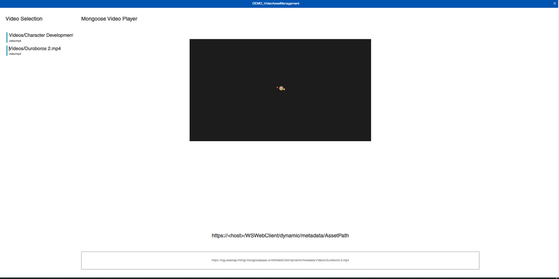 Mongoose - Video Management | Infor Marketplace