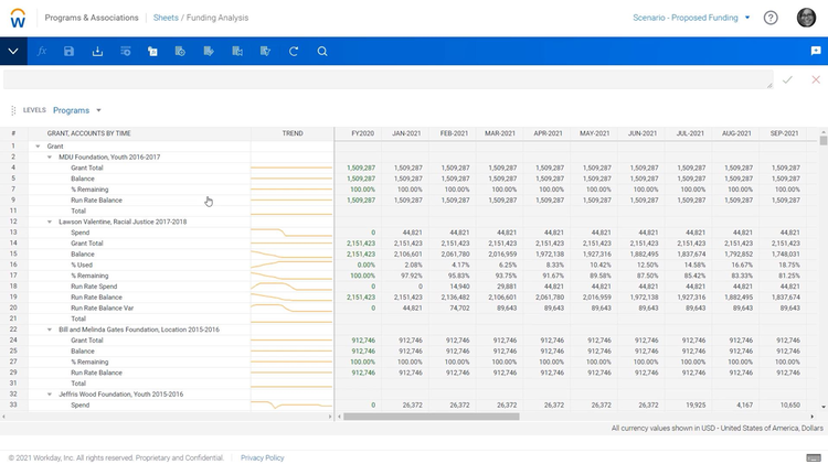 Grant Planning for Nonprofits | Workday Marketplace
