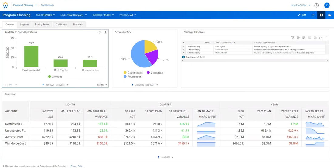 Strategic Initiatives Planning for Nonprofits | Workday Marketplace