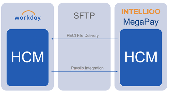 Intelligo Certified PECI Connector | Workday Marketplace