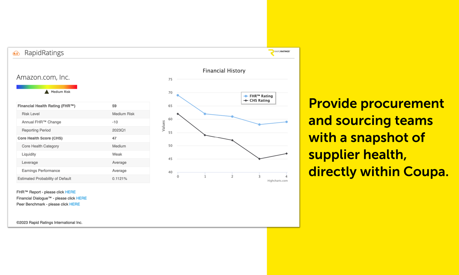 RapidRatings Financial Health Reporting | Coupa App Marketplace