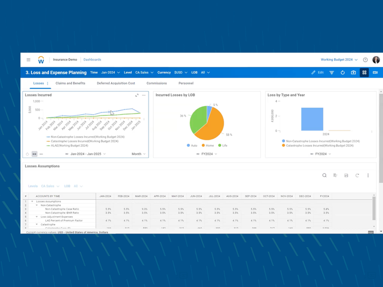 Insurance P&C Planning Model | Workday Marketplace