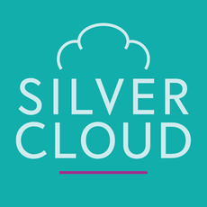 Silver Cloud | Dayforce Exchange
