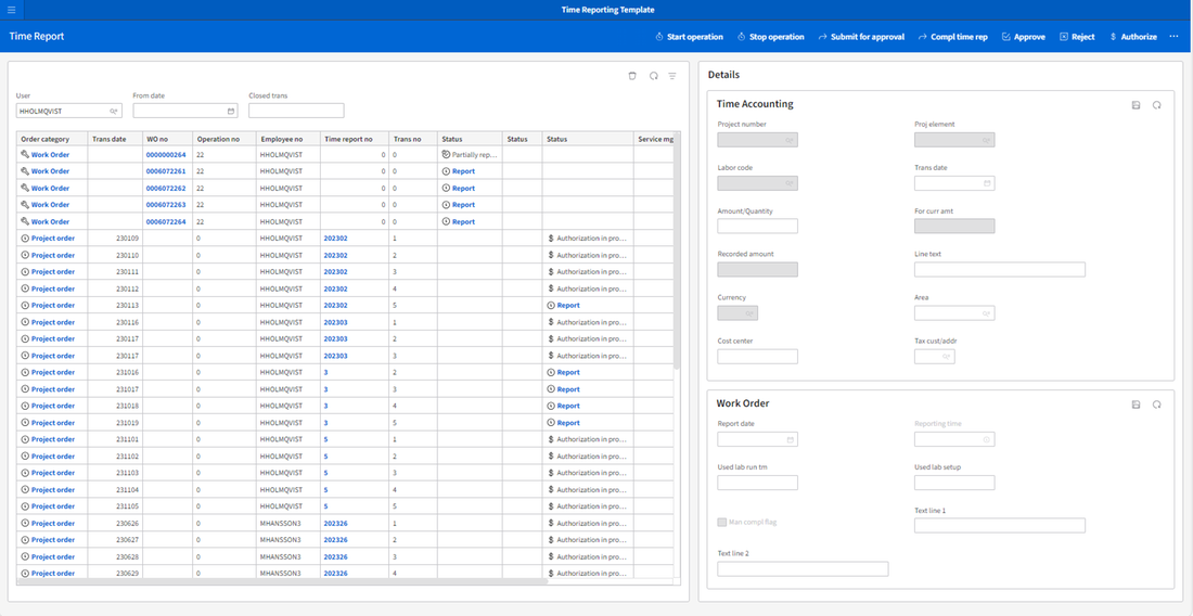 Time Reporting Template | Infor Marketplace