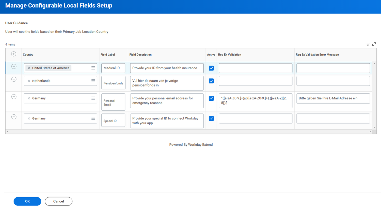 Configurable Local Fields | Workday Marketplace