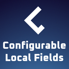 Configurable Local Fields | Workday Marketplace