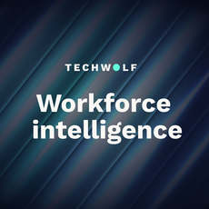 Techwolf Workforce Intelligence Workday Marketplace